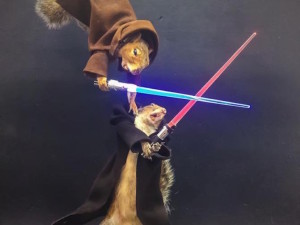 Check Out These Jedi Squirrels With Lightsabers - FileHippo News