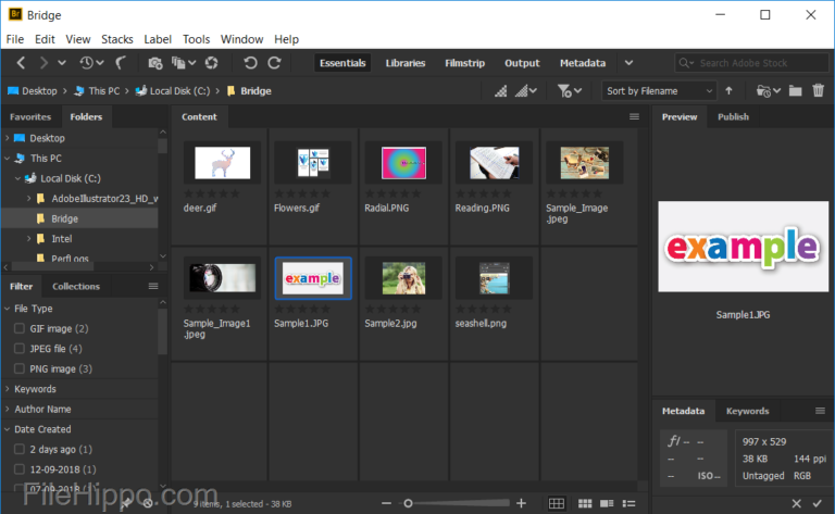 The Best Image Manager Software for Windows - FileHippo News